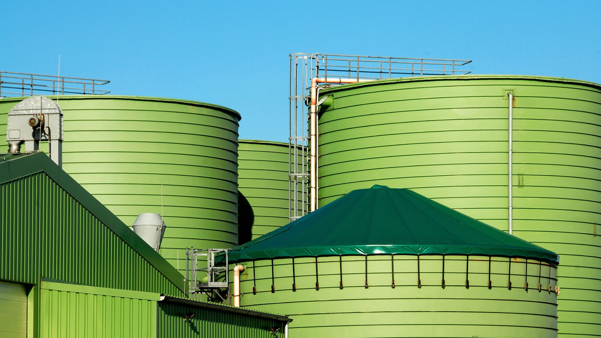 Biomass and Biogas - Iberia Bioenergy