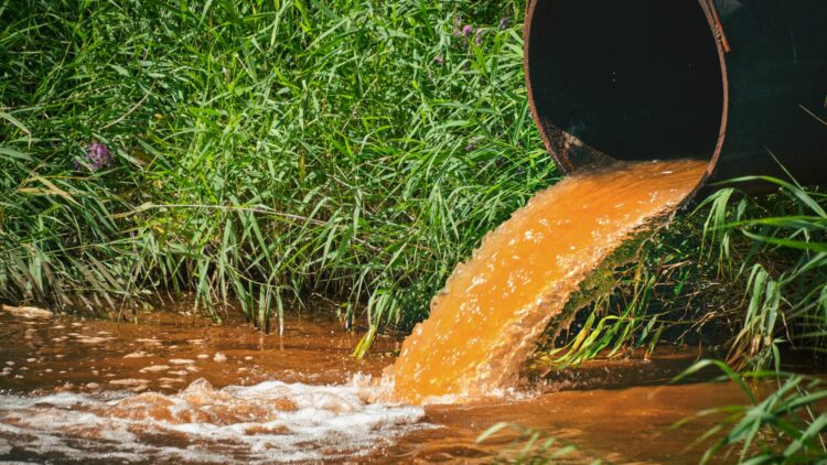 Waste & Residues Feedstocks - Iberia Bioenergy